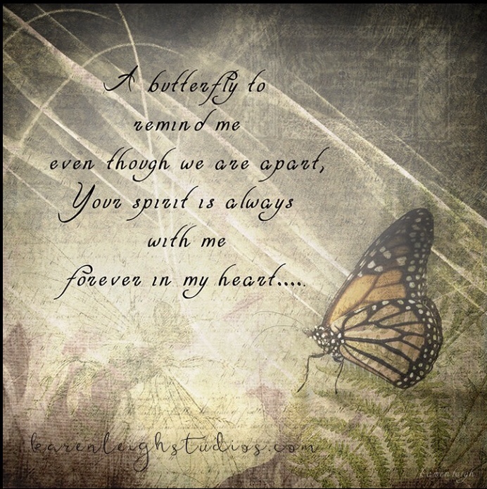 Comforting Signs Sent From Heaven – Quila's Angels